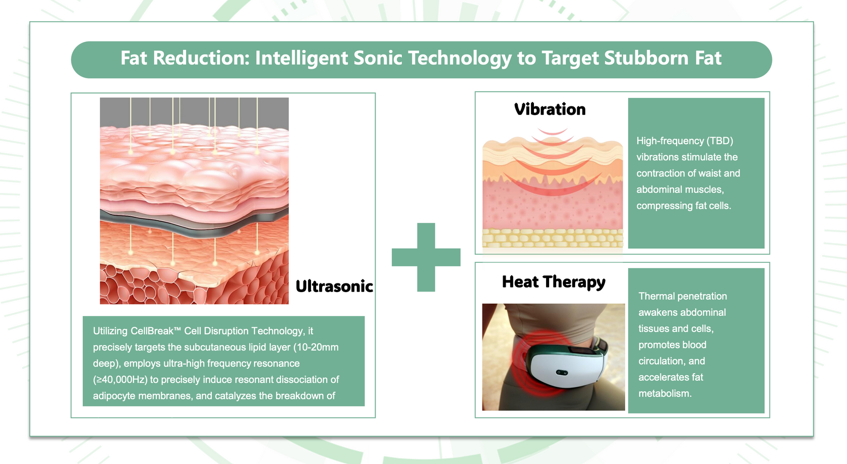 OlyLife Shaken PEMF Fat-Burning Device – OlyLife Products