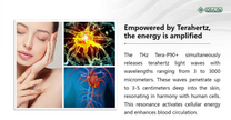 OlyLife THz Tera-P90 Plus – OlyLife Products